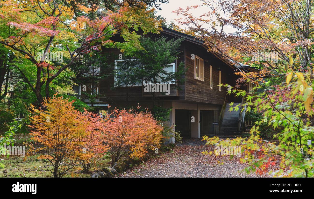 Beautiful countryside autumn scene in Karuizawa, Japan. Karuizawa is an ...