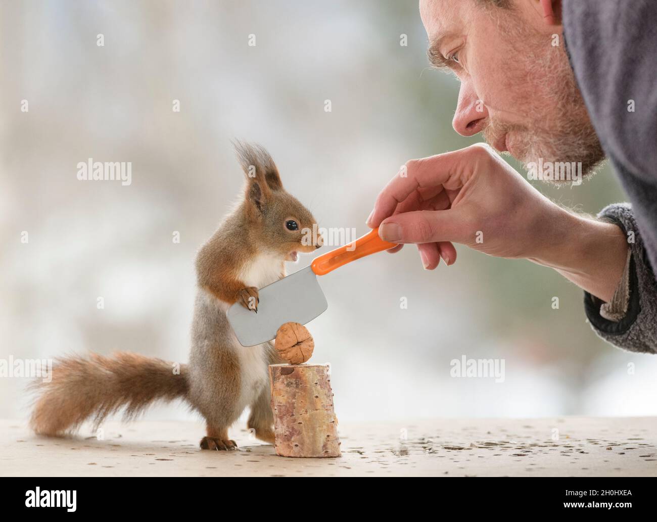 Man holding squirrel hi-res stock photography and images - Alamy