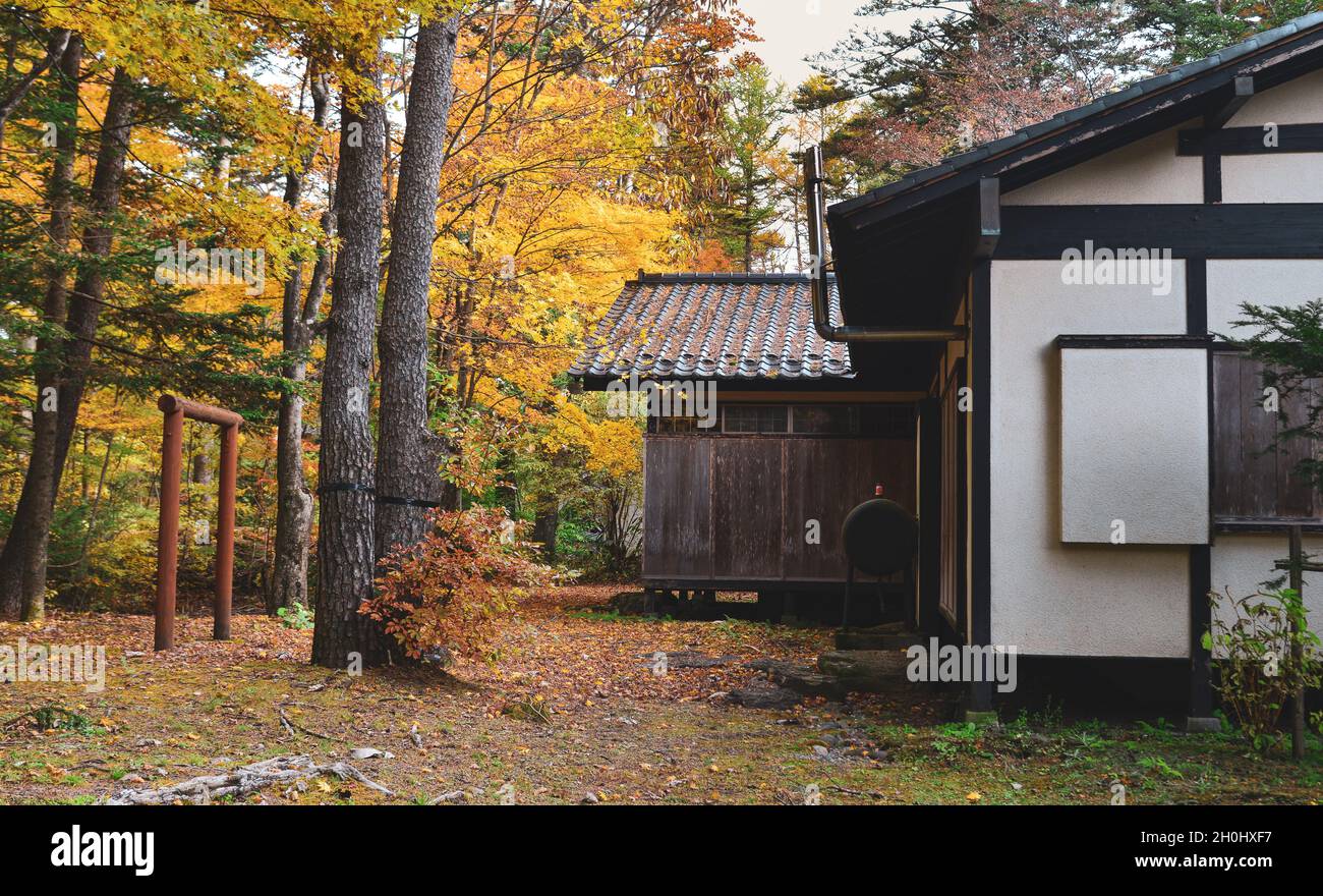 Beautiful countryside autumn scene in Karuizawa, Japan. Karuizawa is an ...