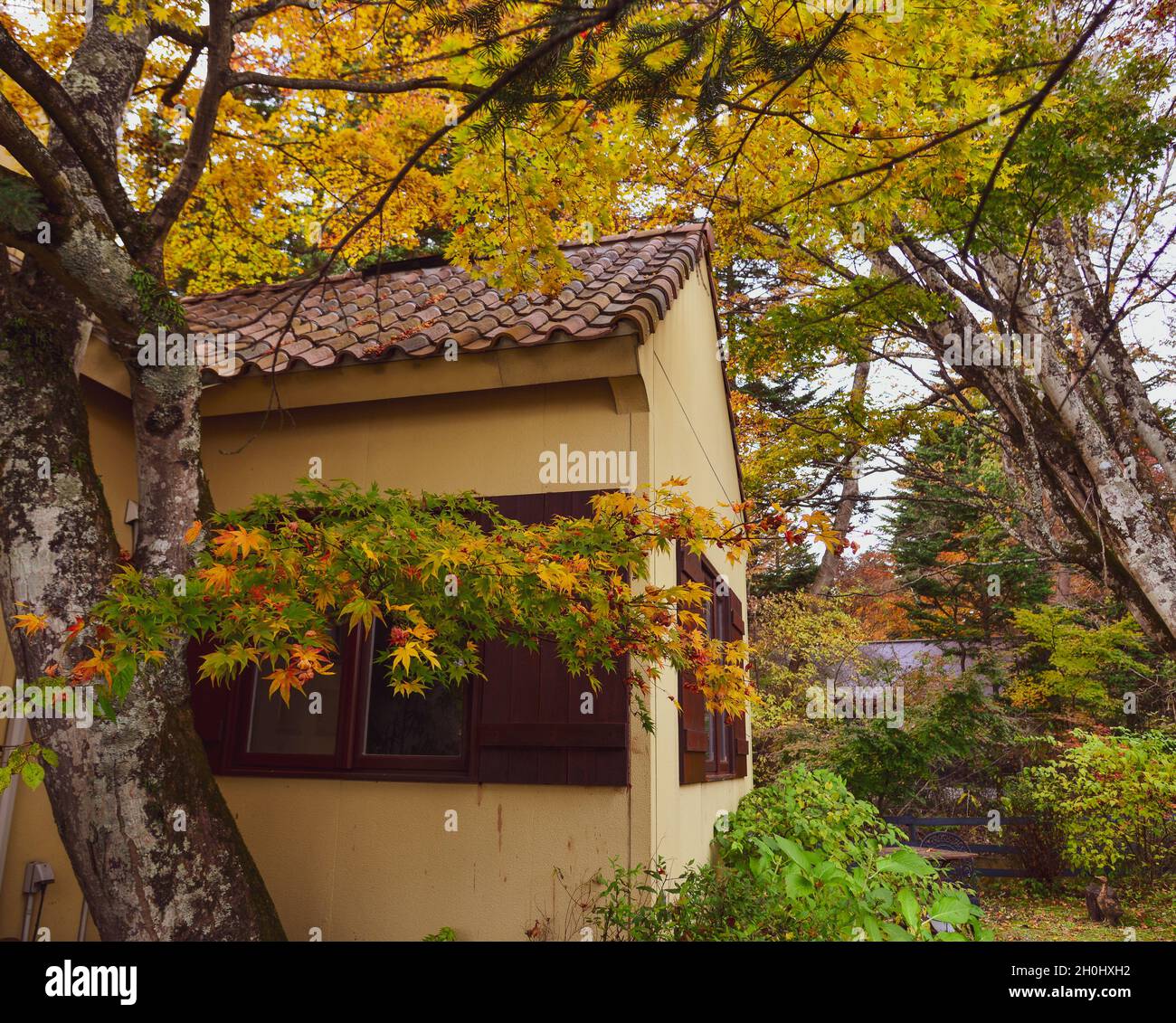 Mount asama karuizawa hi-res stock photography and images - Alamy