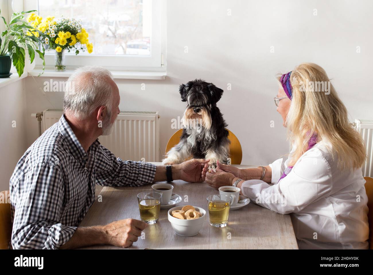 Senior couple sitting at dining table with their dog Stock Photo - Alamy