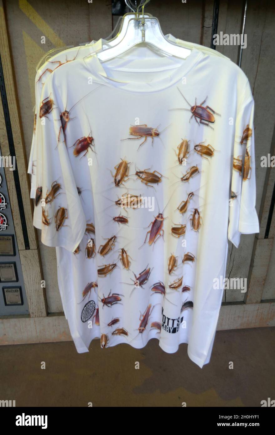 Buena Park, California, USA 10th October 2021 Cockroaches T Shirt at ...