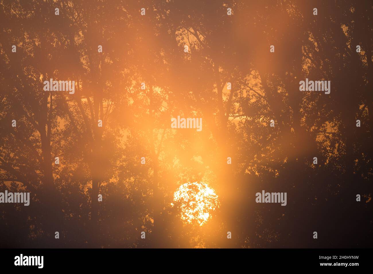 Big sun rising hi-res stock photography and images - Alamy