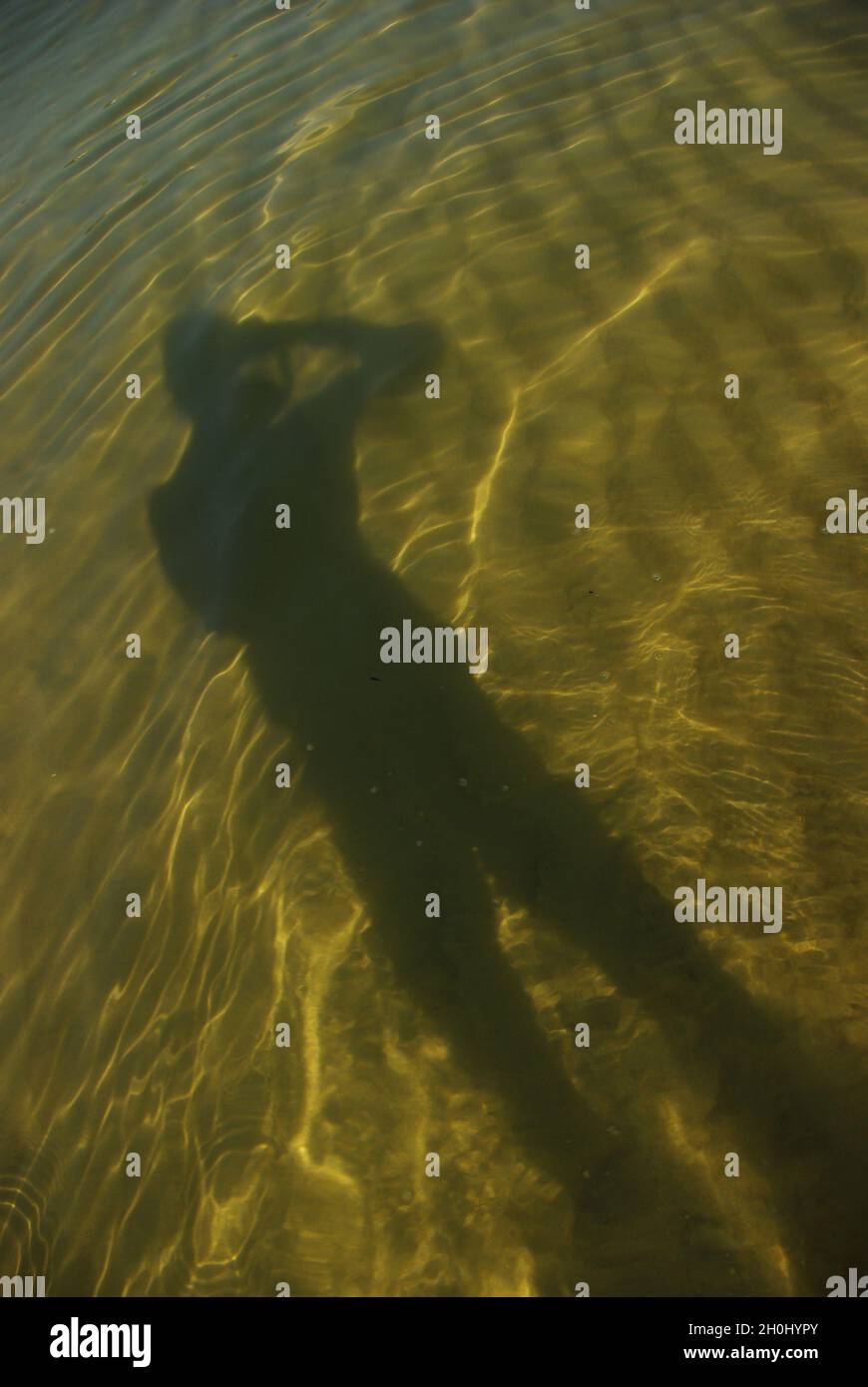 Shadow that is reflected in the seabed Stock Photo - Alamy