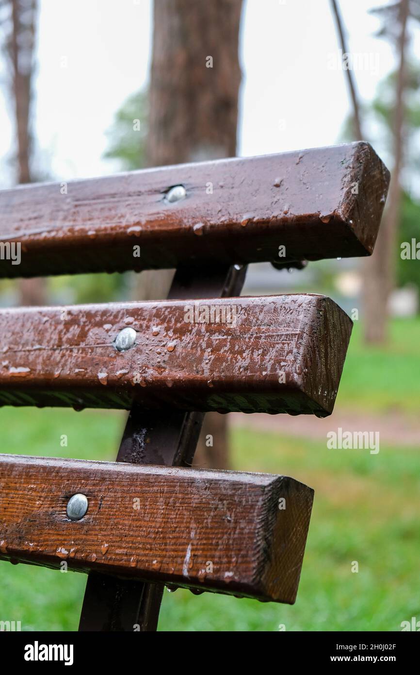 Wet bench in the park in the rain. Rainy weather. Wooden chair in the ...
