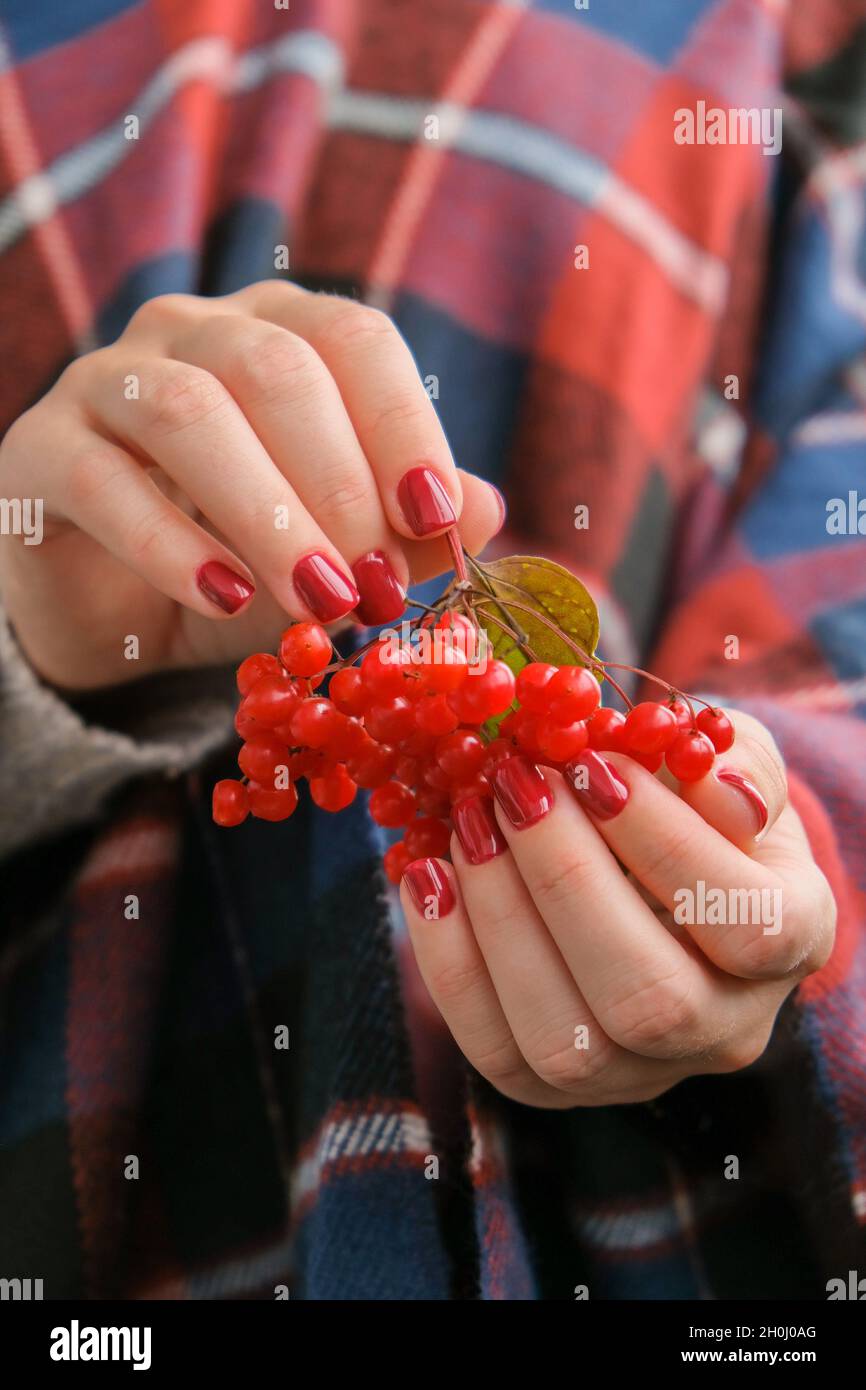 Stylish red female nails. Hands Holding Red Currants. Modern Beautiful ...