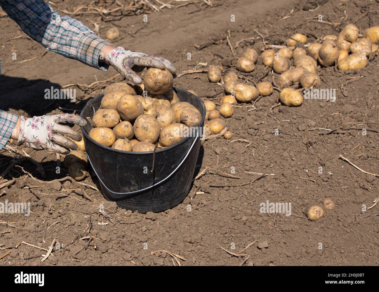 Hand holding plastic bucket hi-res stock photography and images - Alamy
