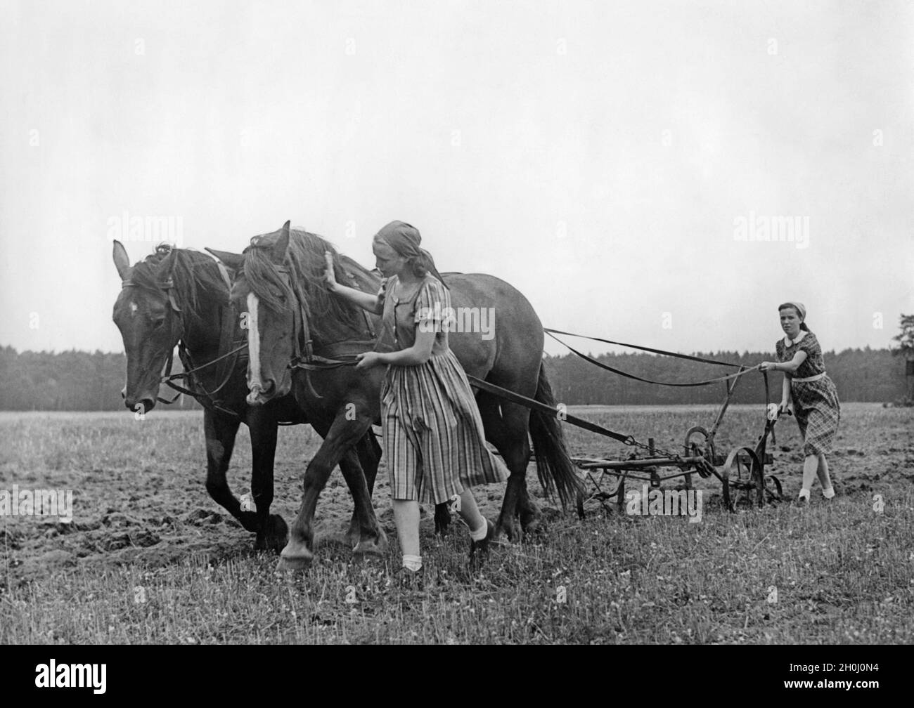 World plough Black and White Stock Photos & Images - Alamy