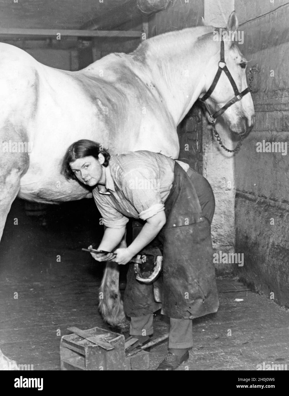 Martha Smith, farrier in New York City, shoeing a horse. [automated ...
