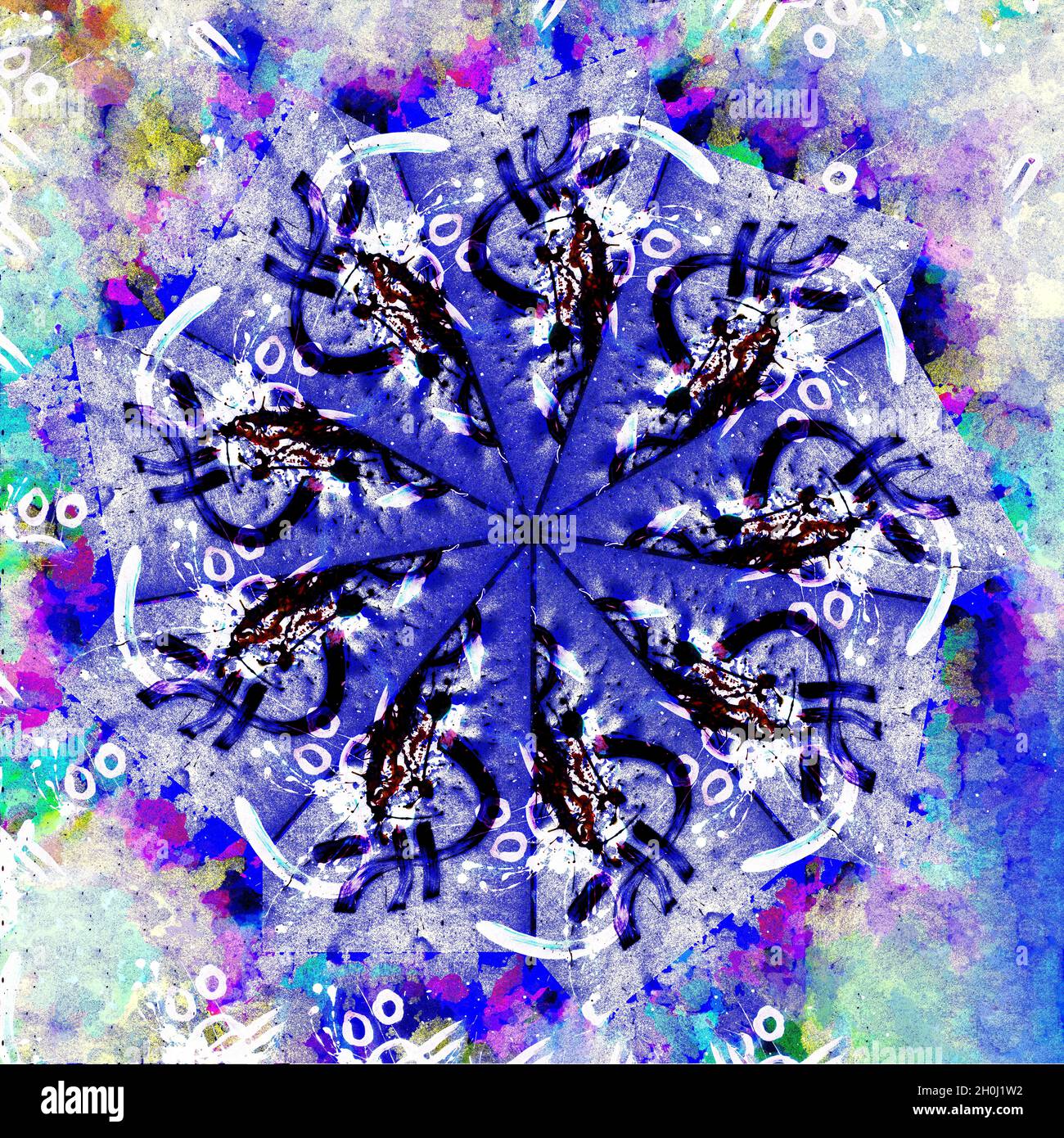 STP Screen Transfer Process - 354 - WDVMM - 732 - Fiber System 6 ...