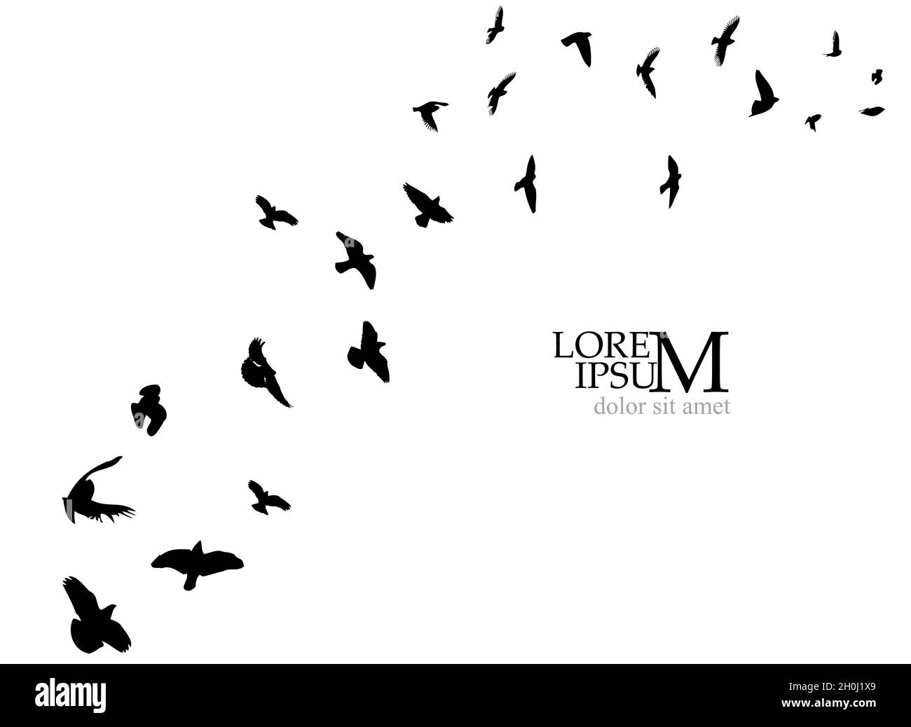 A large flock of flying birds. Free birds. Vector illustration Stock ...