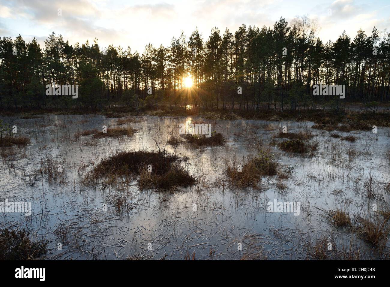 Wetland landscape sunset trees hi-res stock photography and images - Alamy