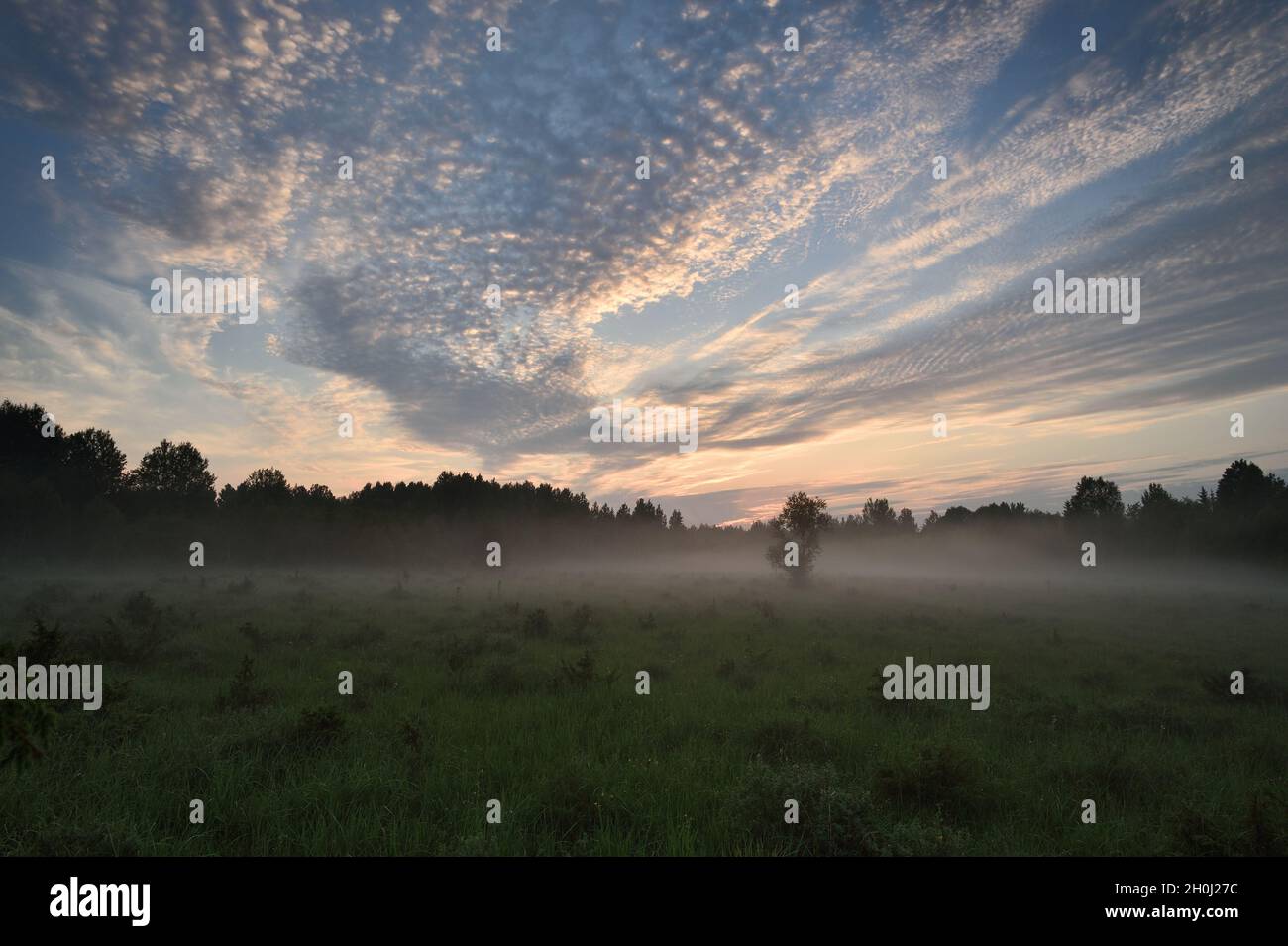 Estonia summertime hi-res stock photography and images - Alamy