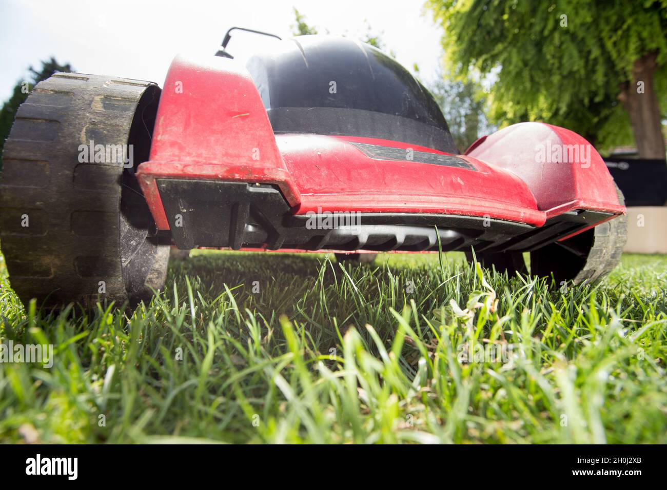 Close up of lawn mower on green grass in backyard. Gardening and ...