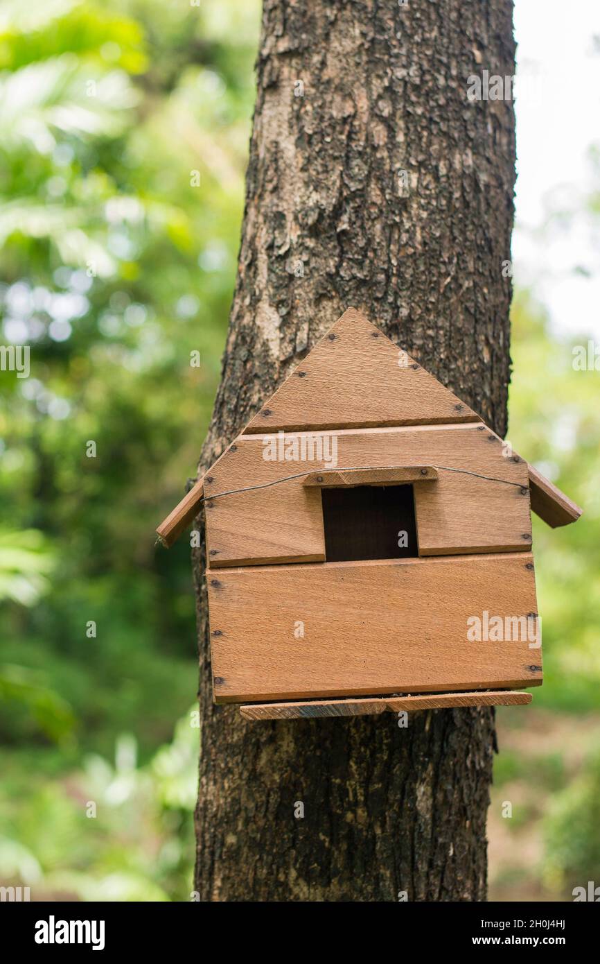 bird house in tree Stock Photo - Alamy