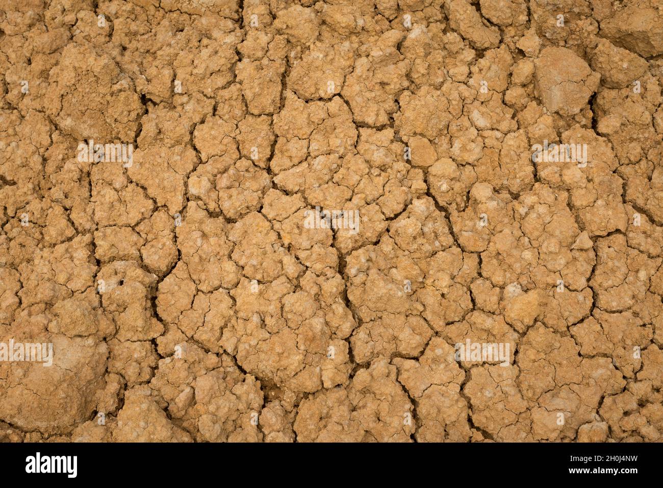 Cracked ground dry earth dry land texture background,Dehydration plants ...