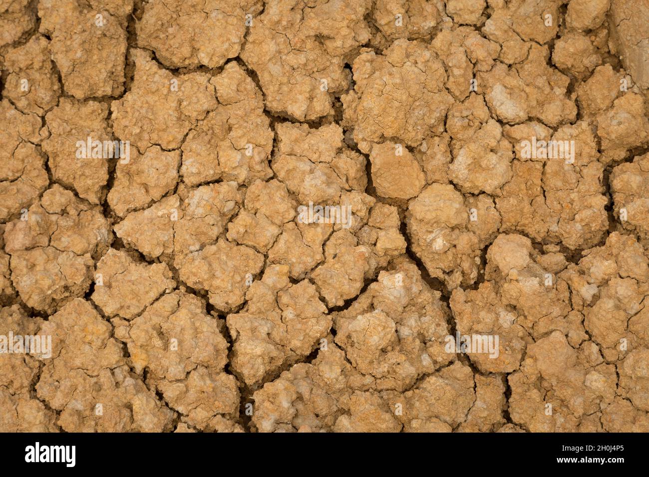 Cracked ground dry earth dry land texture background,Dehydration plants ...