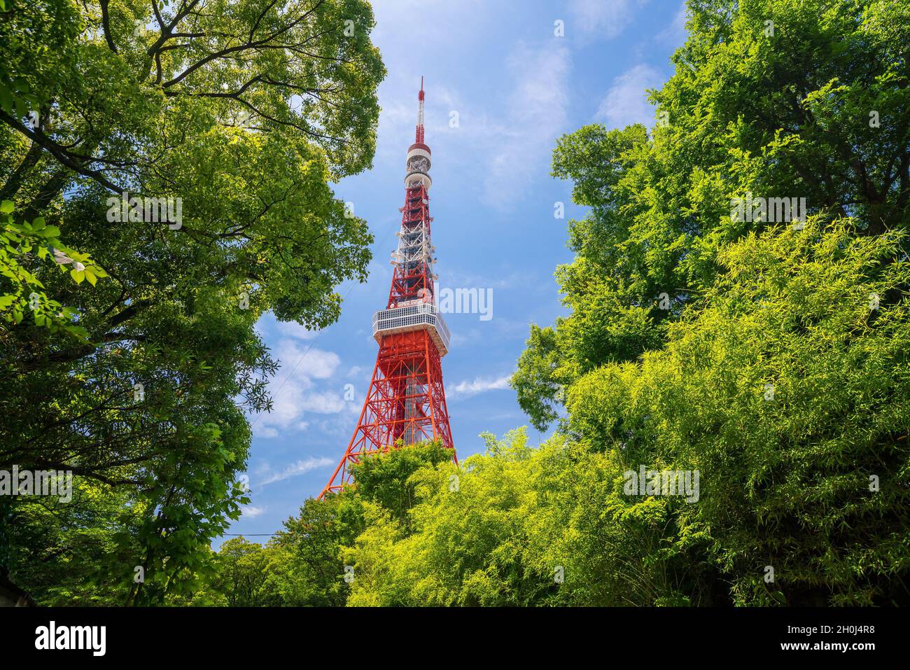 View of Zojo ji Temple and tokyo Tower in Japan Stock Photo - Alamy