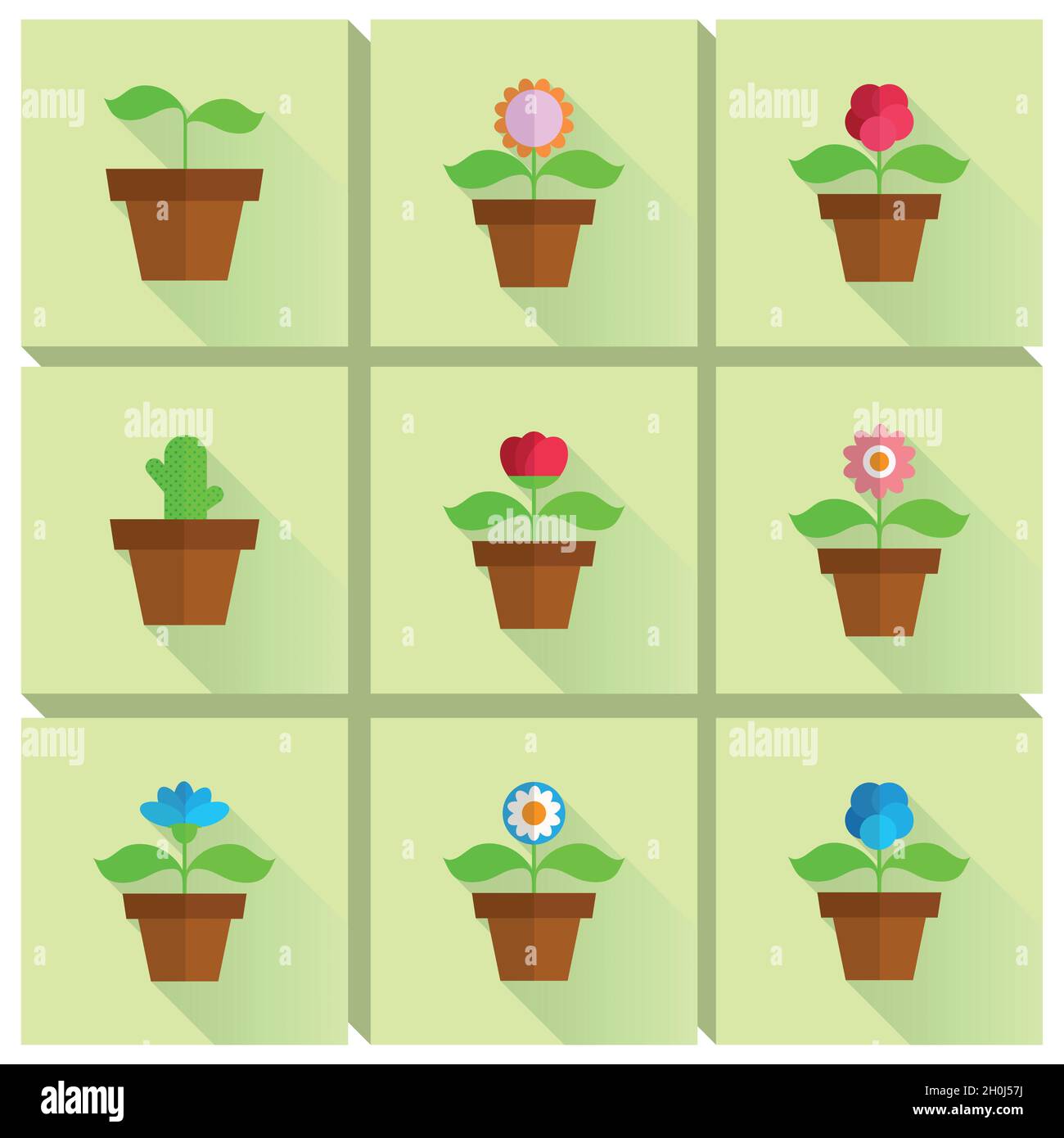 flower in a pot, house plant in the pot, spring flowers, various flat ...