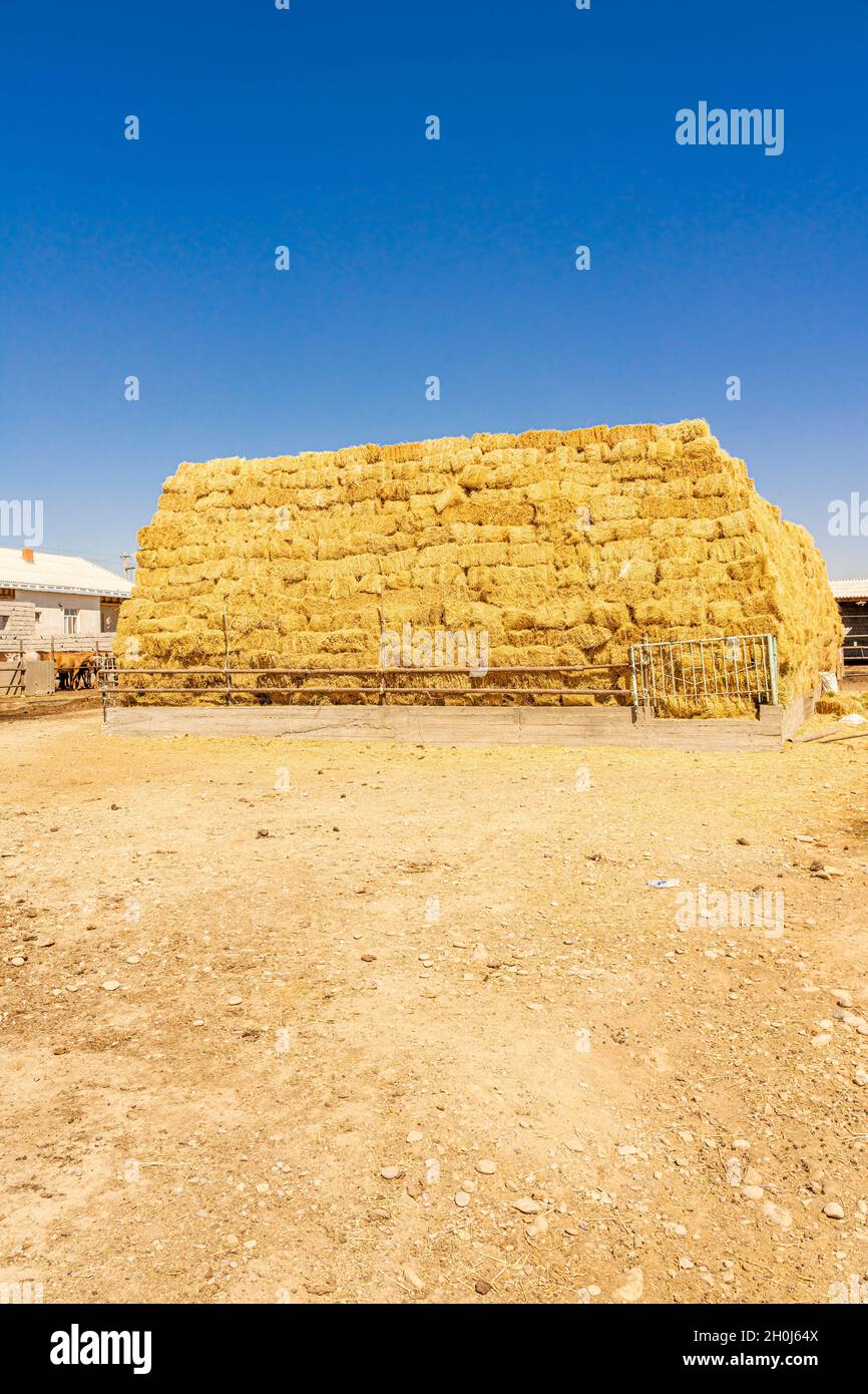 Huge hay bale hi-res stock photography and images - Alamy