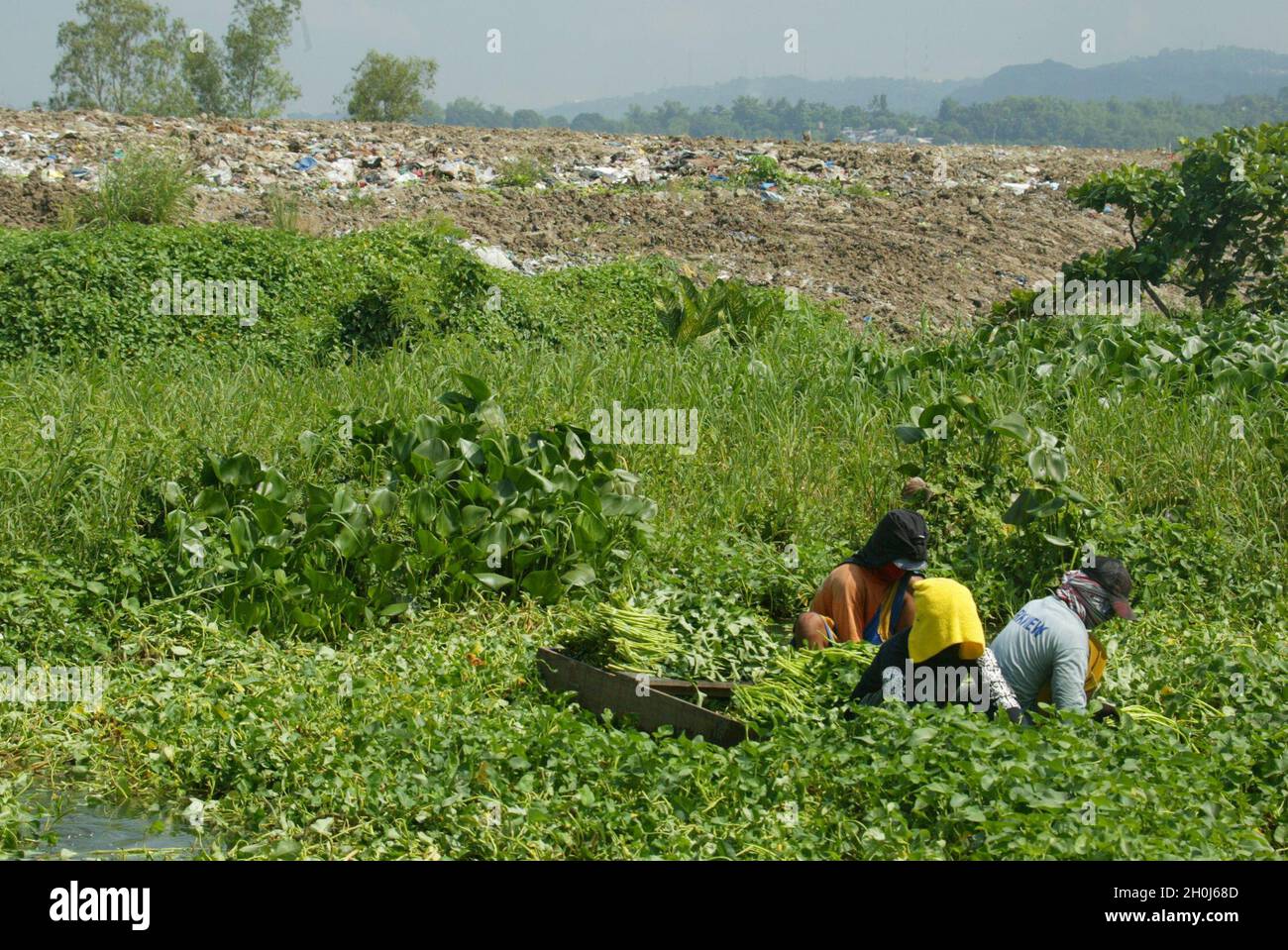 Landfills san mateo rizal hi-res stock photography and images - Alamy