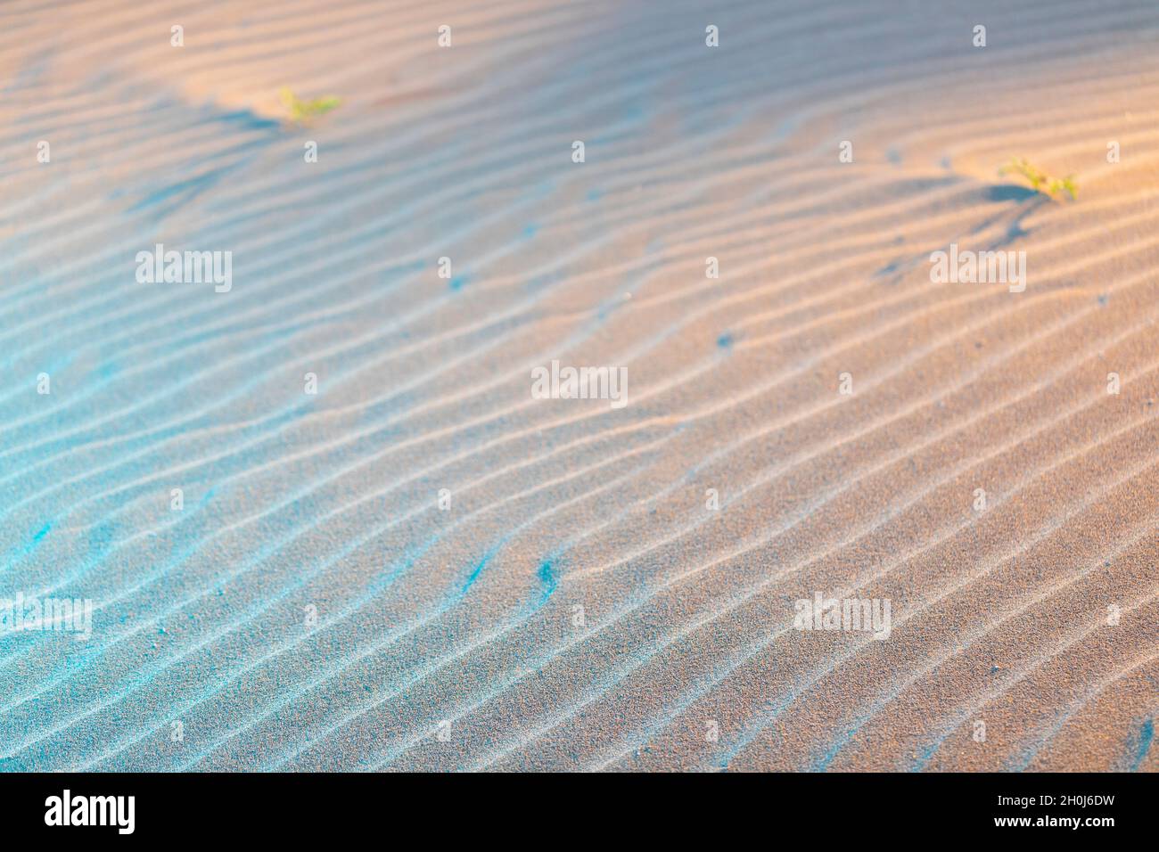 Sand texture colored with a strobe (flash) light Stock Photo - Alamy