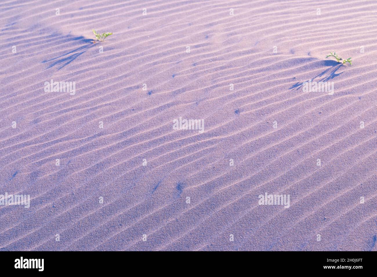 Sand texture colored with a strobe (flash) light Stock Photo - Alamy