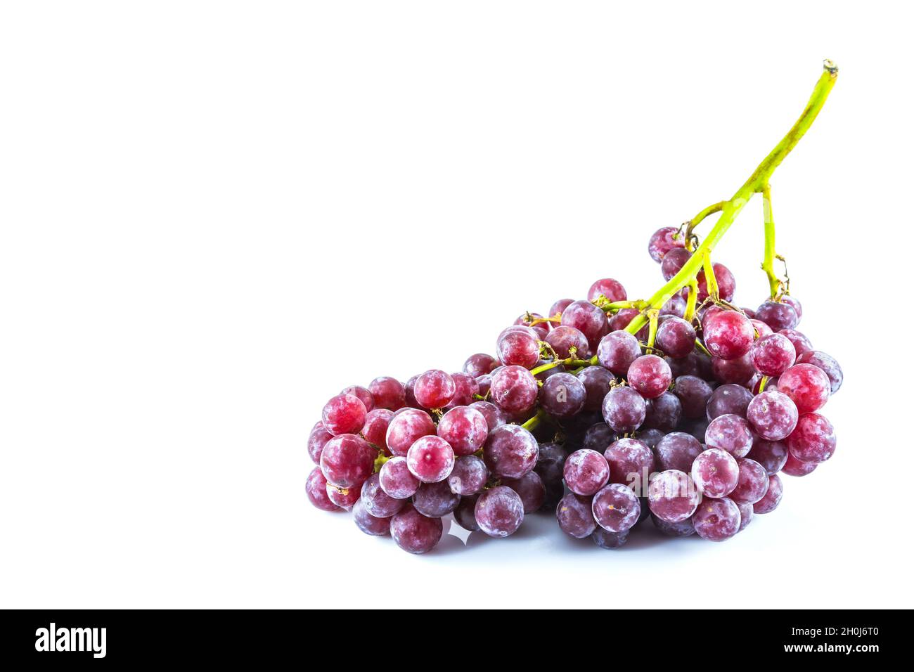 fresh red grape with water drop isolated on white background Stock Photo - Alamy