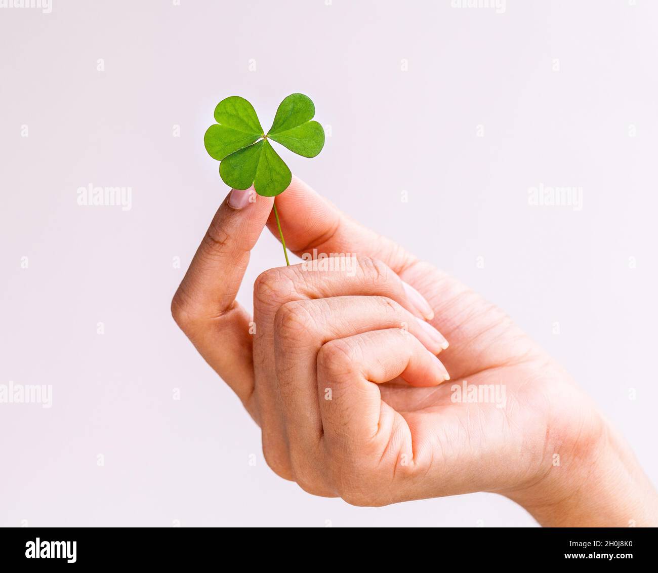 The girl hold Clover leaf . - Concept for love , hope and goodness ...