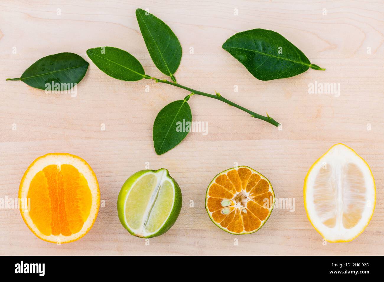 Mixed citruses fruit oranges, lemon and lime on wooden background with ...