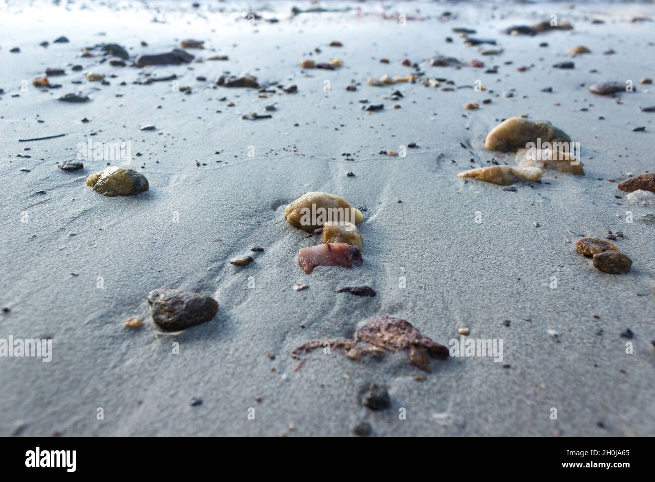 pebbles on a sand beach in morning Stock Photo - Alamy