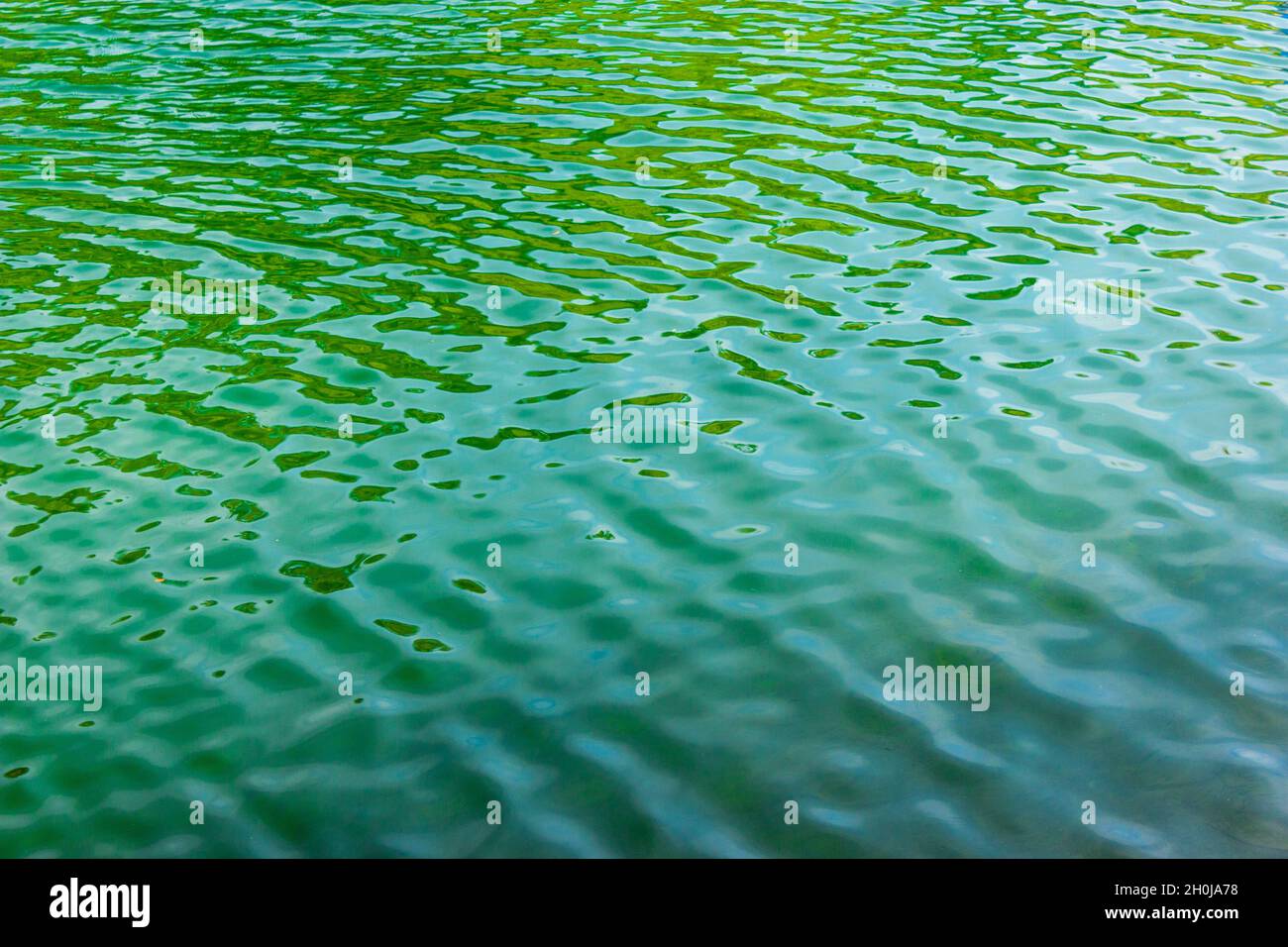 green ripples on the surface of water in lake Stock Photo - Alamy