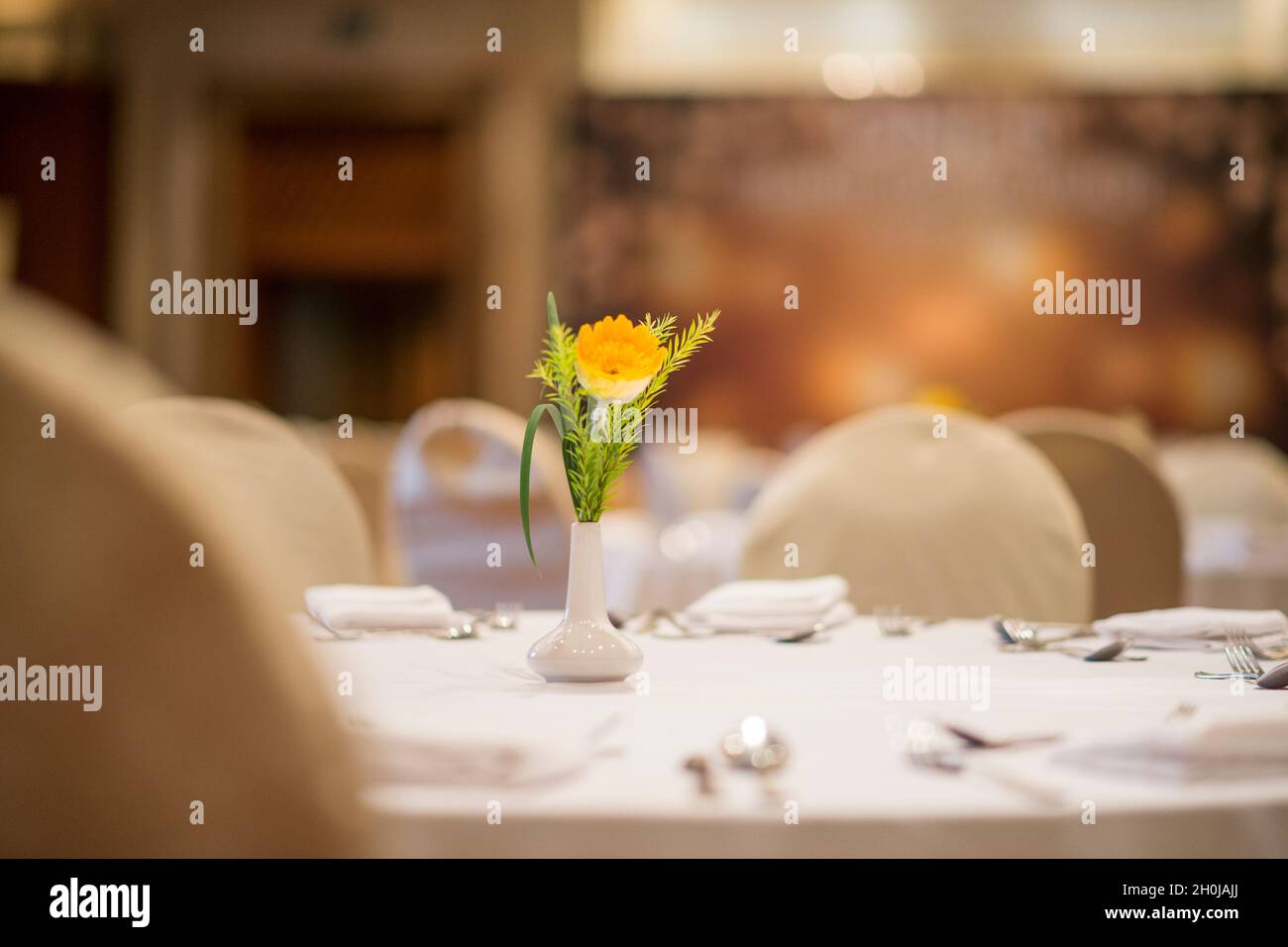 Wedding hall or other function facility set for fine dining Stock Photo ...