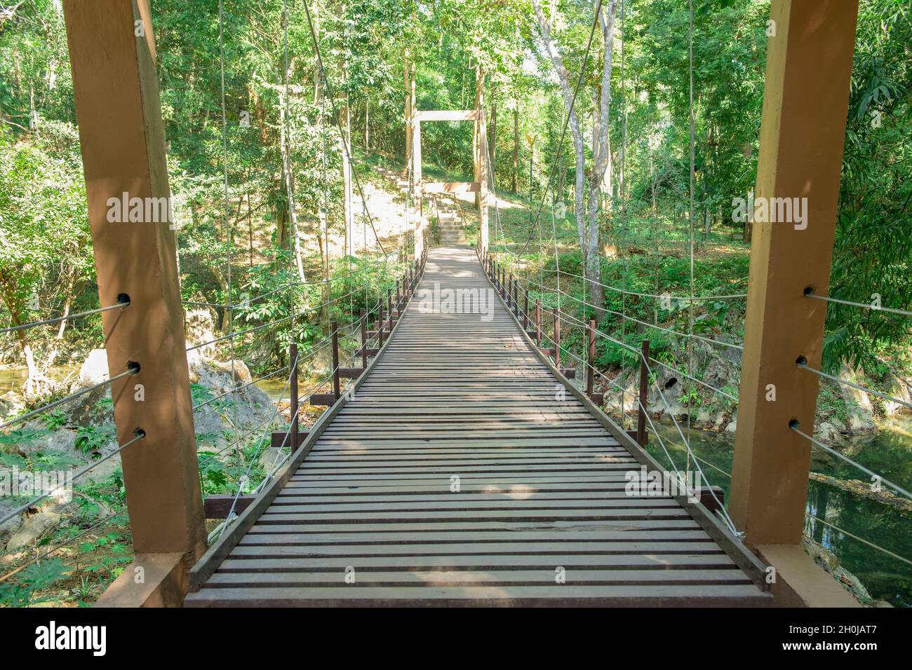 Wooden bridge in forest Stock Photo - Alamy