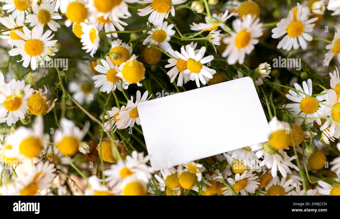 The beautiful natural flowers bouquet Stock Photo - Alamy