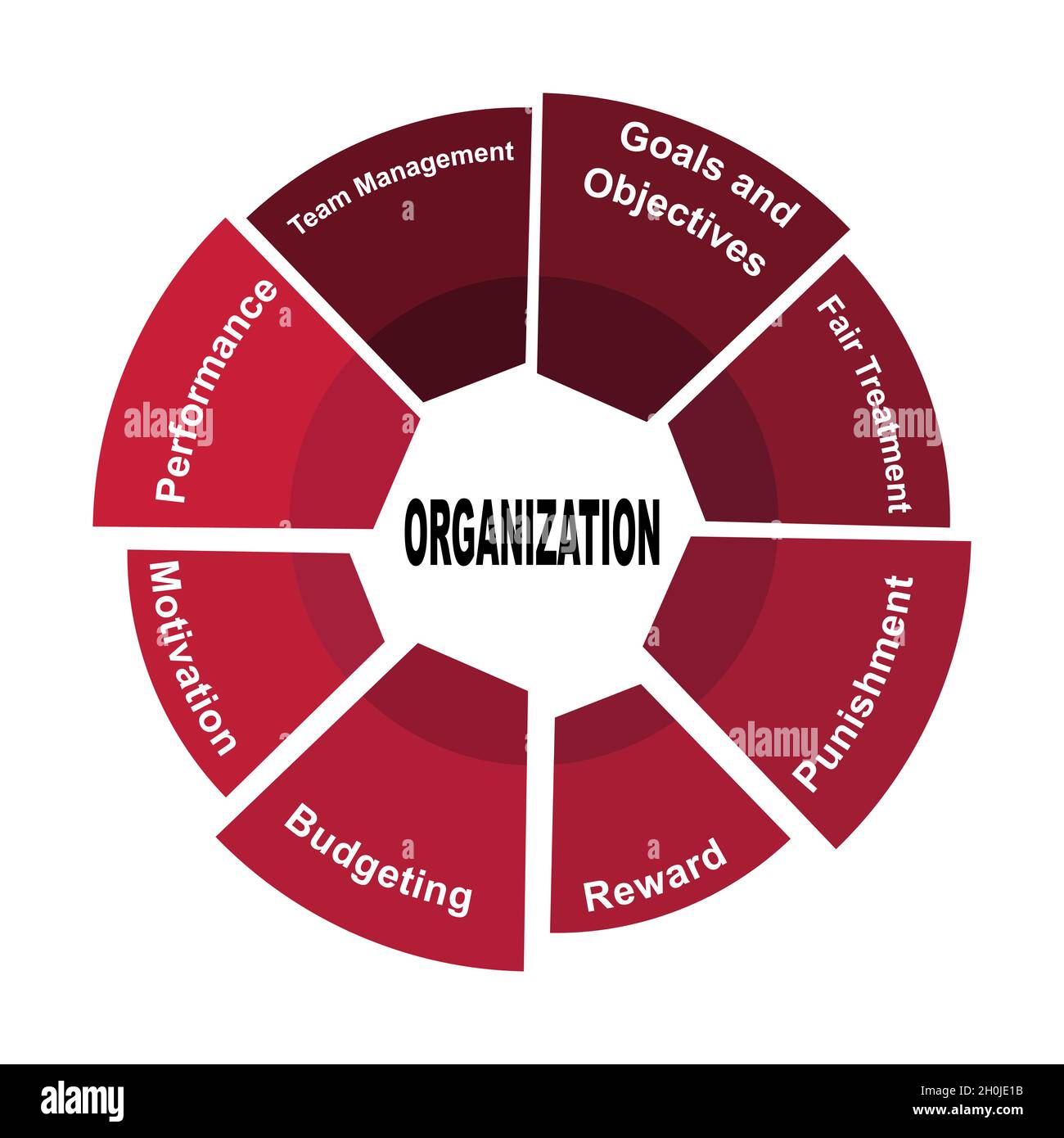 Diagram concept with organization text and keywords. EPS 10 isolated on ...