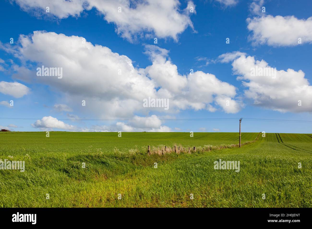 Arable landscape near Drumderfit, Black Isle in Scotland Stock Photo ...