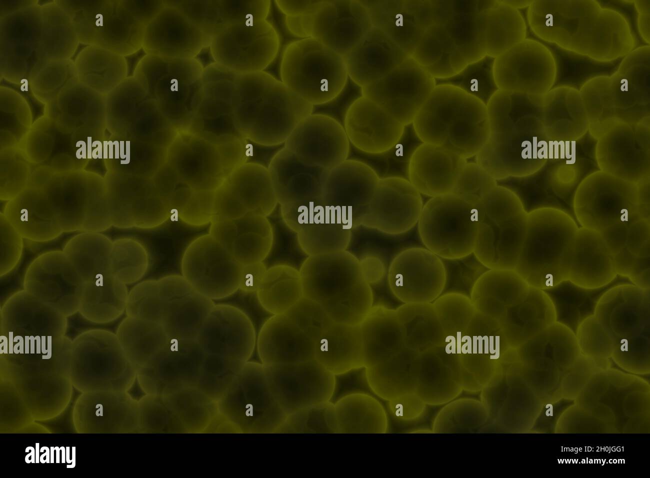 design modern yellow a lot biological living cells digital drawn ...