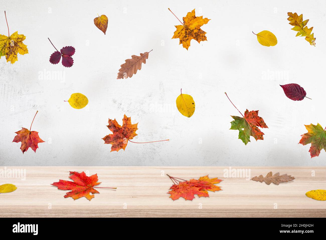 Autumn leaves presentation background hi-res stock photography and ...