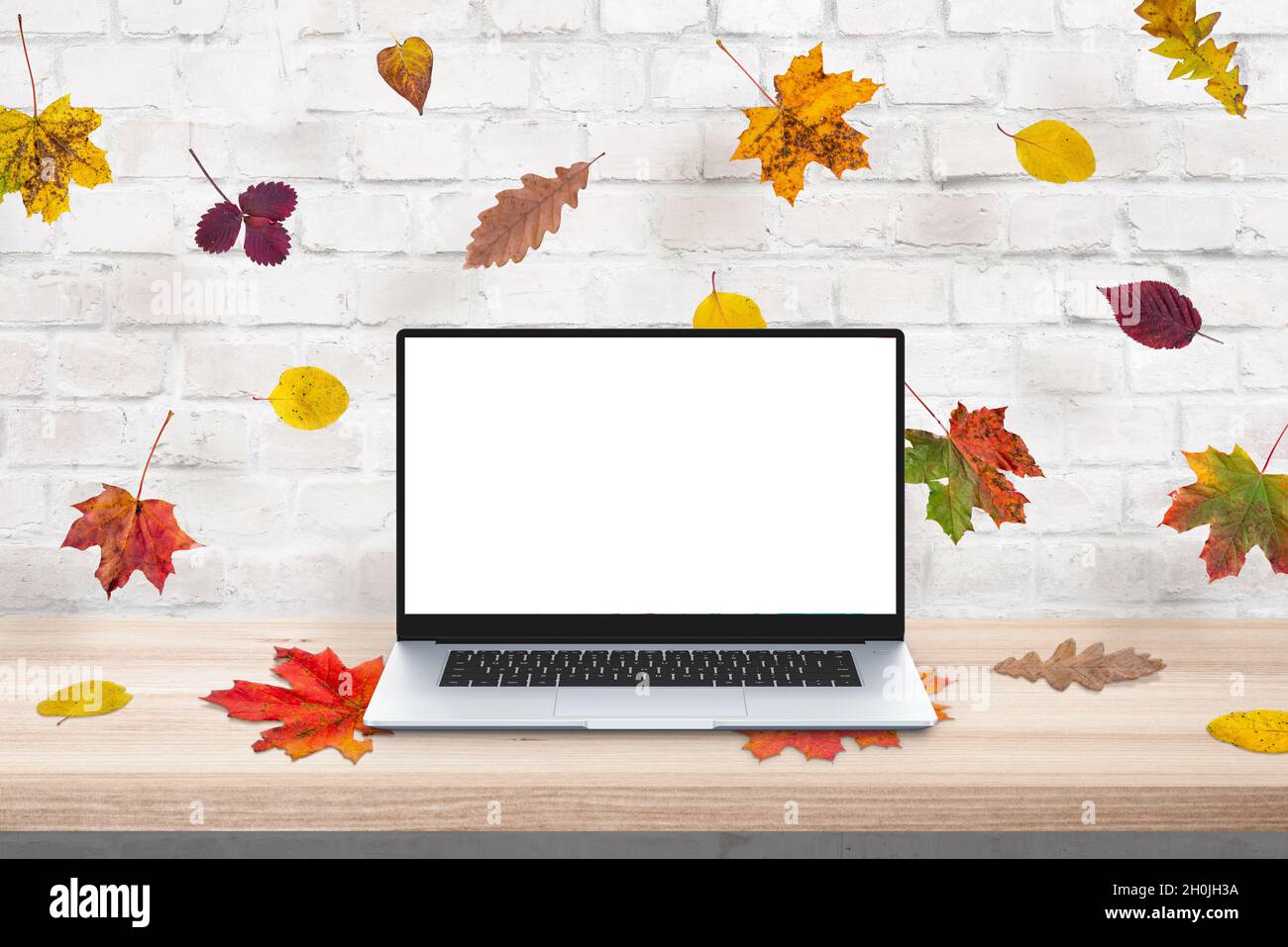 Autumn colorful leaves fall on the laptop. Creative concept. Laptop ...