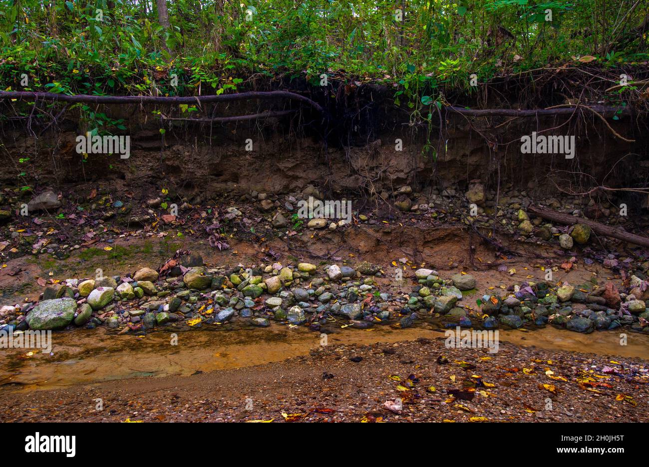 Rocks in creek bed hi-res stock photography and images - Alamy
