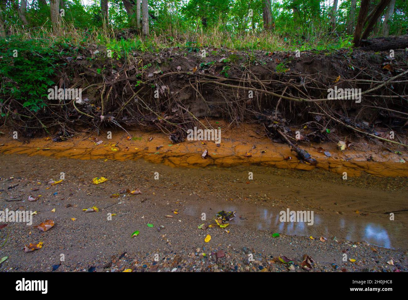 Rocks in creek bed hi-res stock photography and images - Alamy