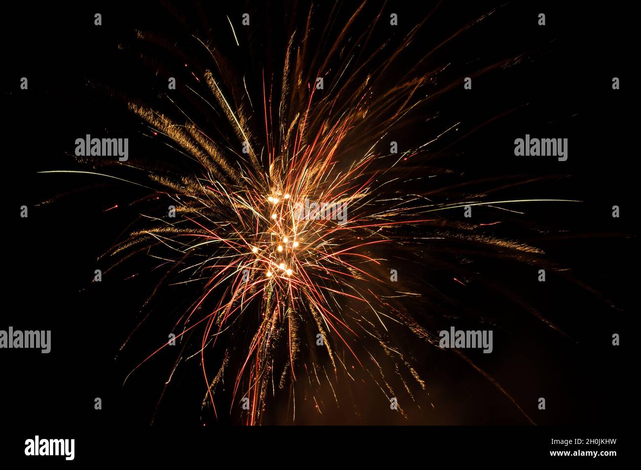 Beautiful firework in the night sky Stock Photo - Alamy
