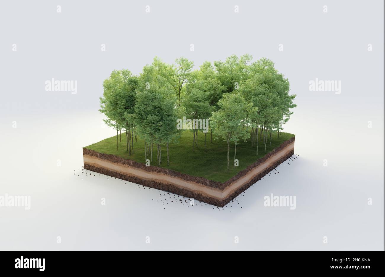 Soil cross section roots hi-res stock photography and images - Alamy