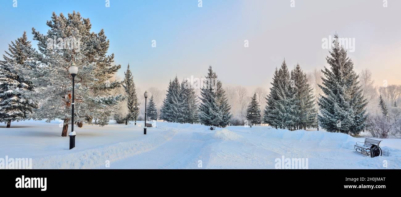 Winter morning in snowy city park at sunrise. Snow and hoarfrost ...