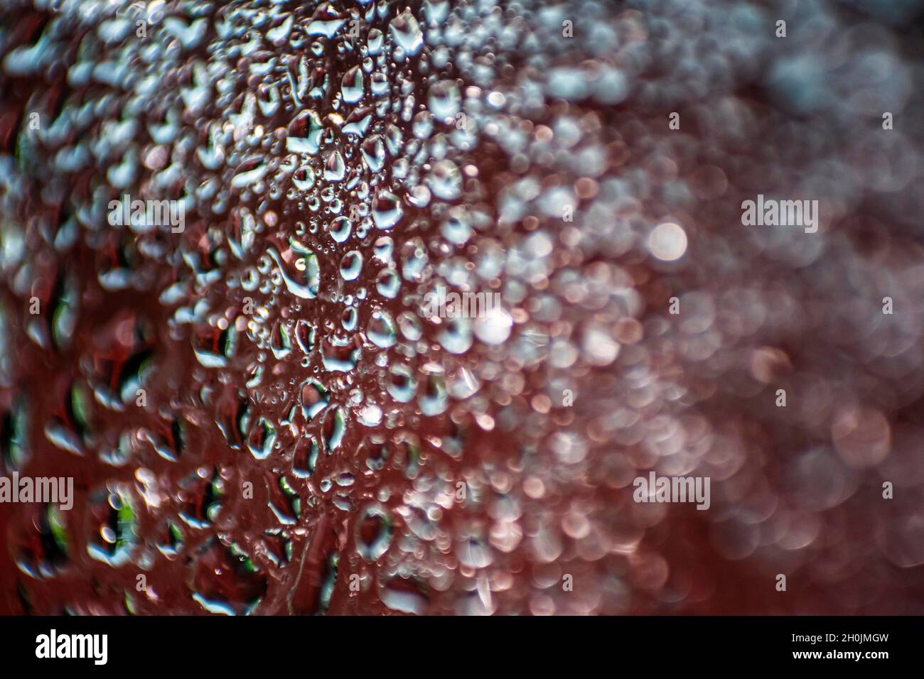 Background rain drops close up Stock Photo - Alamy