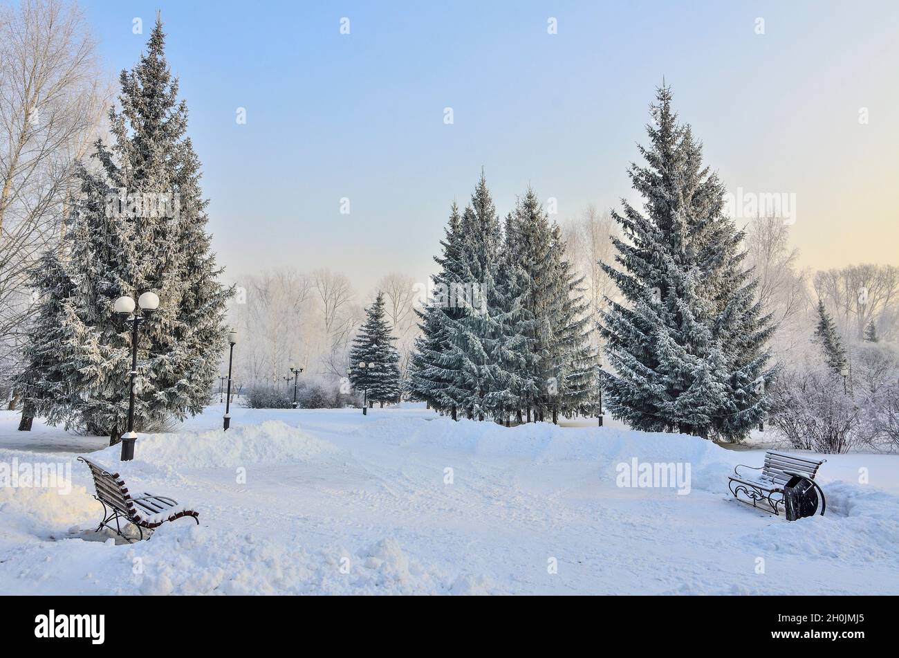 Winter morning in snowy city park at sunrise. Snow and hoarfrost ...