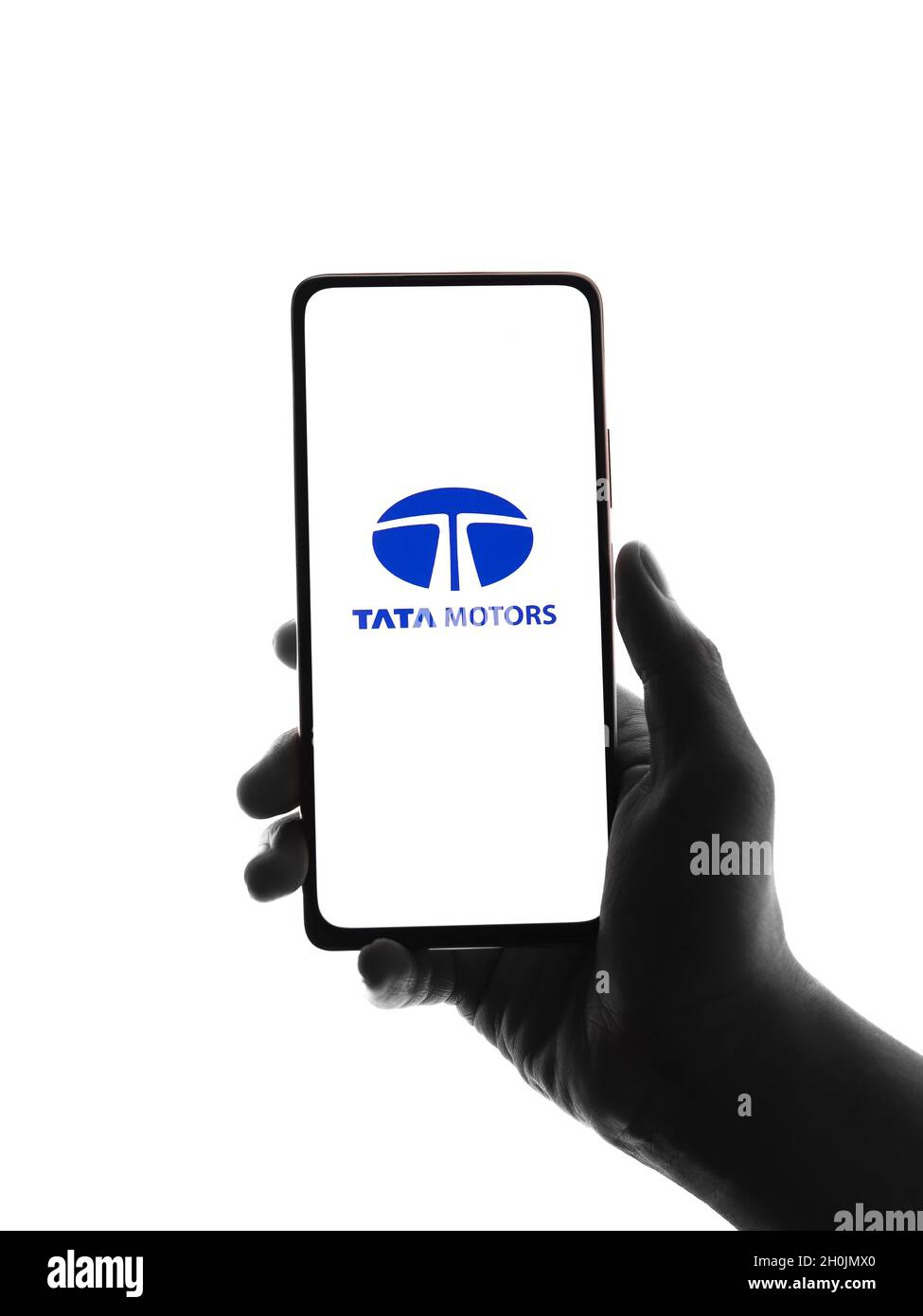 Tata Indicom True Paid Logo