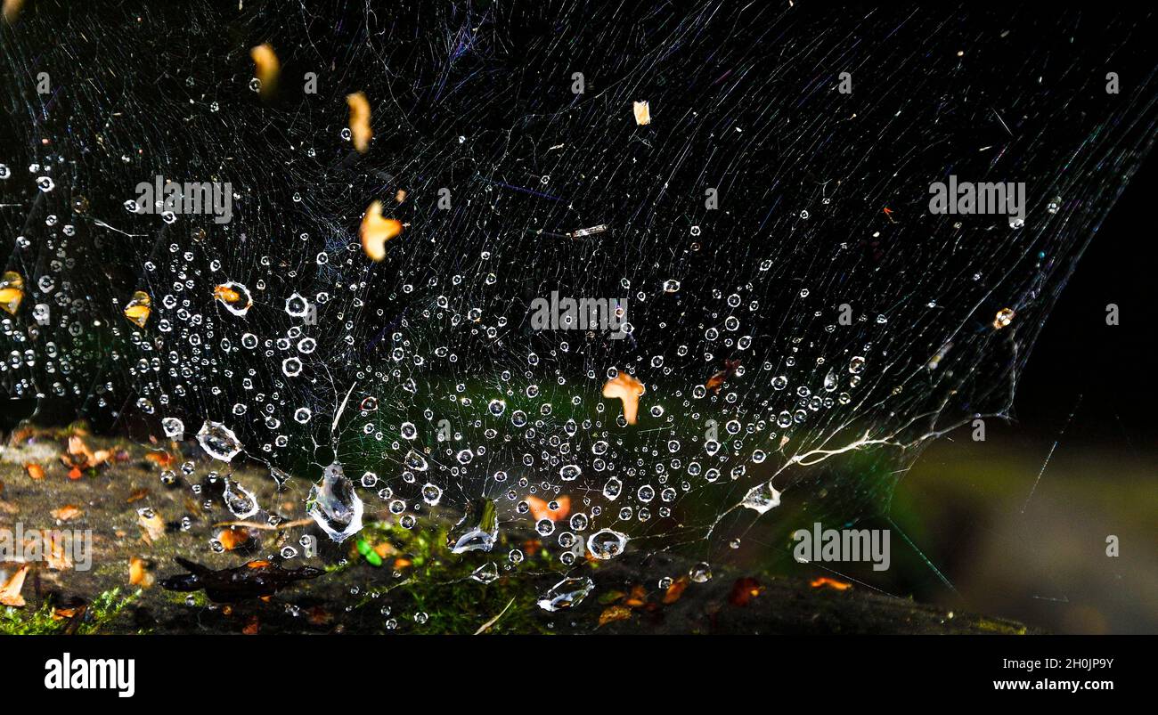 Weather forecast background hi-res stock photography and images - Alamy