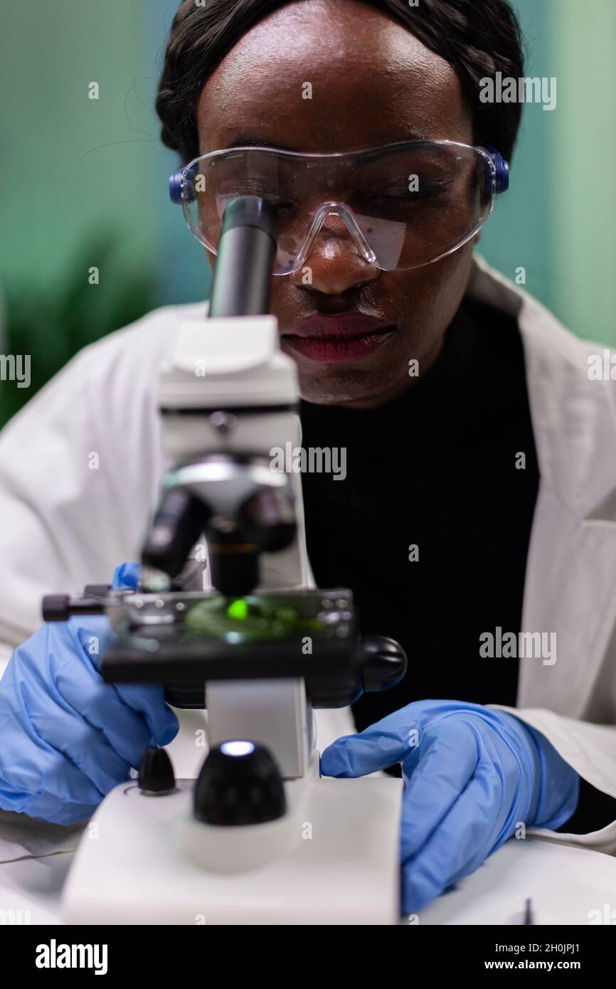 Closeup of african american botanist scientist doctor analyzing green ...
